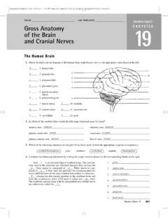 NAME LAB TIME DATE REVIEW SHEET Gross Name Lab Time Date Review Sheet Gross Pdf PDF4PRO