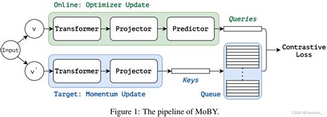 【自监督论文阅读笔记】self Supervised Learning With Swin Transformers Csdn博客