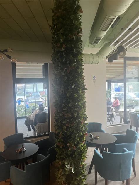 Zid Od Umjetnog Cvije A Zid Je Placen