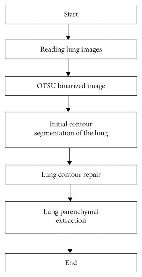 flowchart of segmentation of lung parenchyma download scientific diagram