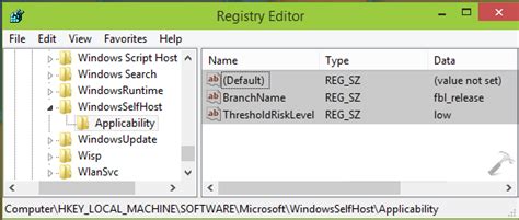 FIX Failed To Download The New Preview Build In Windows