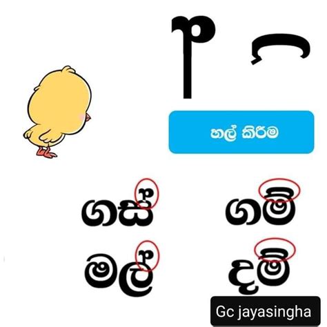 දැනුම් සයුර 👍සිංහල භාෂාවේ පිල්ලම් ටික බලාගමු