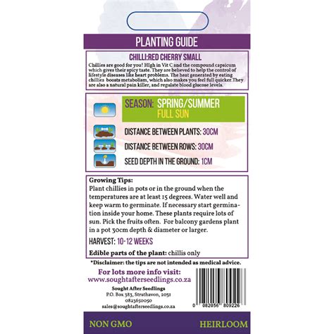 Radish Chilli Small Red Seeds Sought After Seedlings