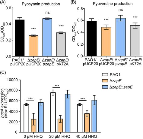Zape Enhances The Synthesis Of Pqs Pyocyanin And Pyoverdine A Download Scientific Diagram