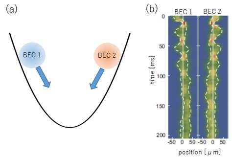 Bose Einstein Condensates Miscibility Properties Reveal Surprises