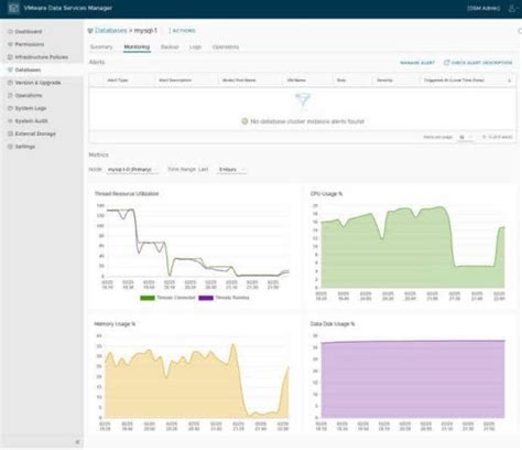 Whats Vmware Data Services Manager