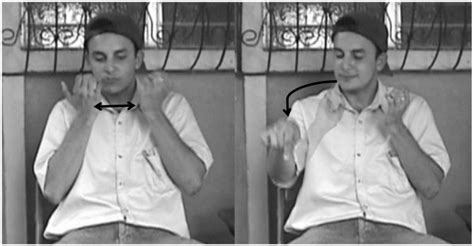 Figure 2 From Lexical Iconicity Is Differentially Favored Under Transmission In A New Sign