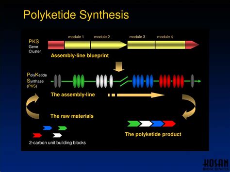 Ppt High Throughput Gene Synthesis And Cloning Of Polyketide Synthase Modules Powerpoint