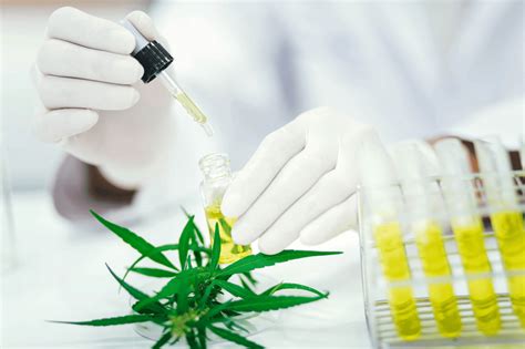 Why Choose A Closed Loop Extraction System Atomic Extraction