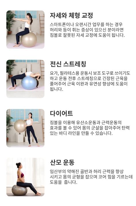 레토 안티버스트 짐볼 65cm 임산부운동 밸런스볼 감도 깊은 취향 셀렉트샵 29cm