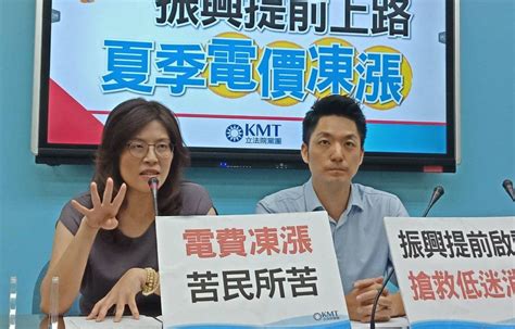 百業拚復甦 國民黨呼籲夏月電價凍漲 中廣新聞網 Line Today