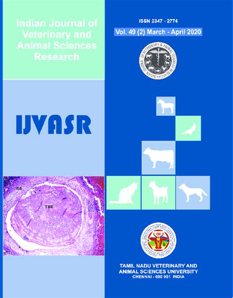 Pdf Energy Consumption Pattern In Manufacturing Of Different Types Of Broiler Feeds