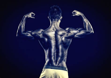 The Best Gym Workout Plans For Getting Ripped Online Personal Trainer