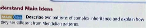 Solved Derstand Main Ideas A En Describe Two Patterns Of Complex