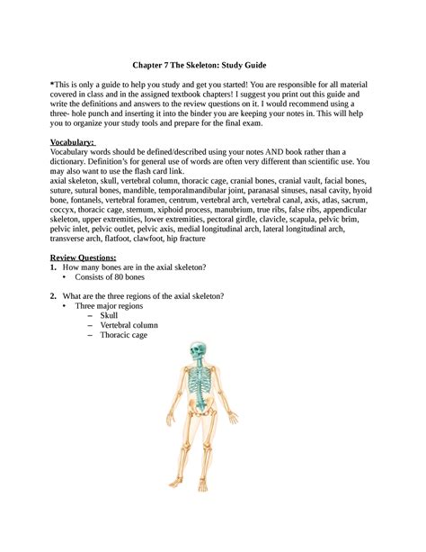Chapter 7 The Skeleton Study Guide 1 Chapter 7 The Skeleton Study Guide This Is Only A