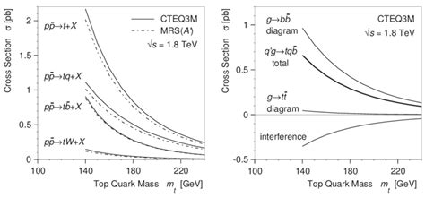 Electroweak Single Top Quark Production Fig3 Interference Between The
