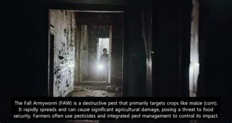 Dr Nazir Ahmed Abro On Linkedin Fall Armyworm