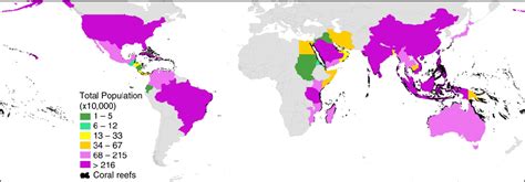 Figure 12 From Non Hydrostatic Wave Modelling Of Coral Reefs With The Addition Of A Porous In