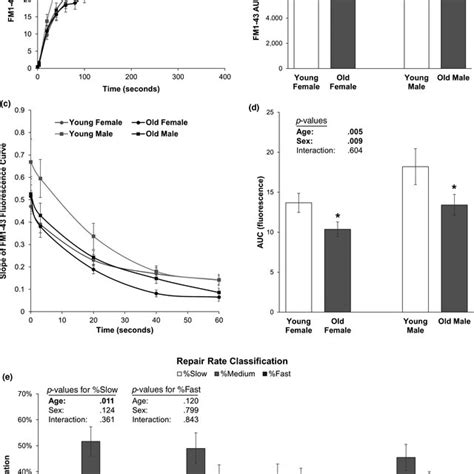 Aged Osteocytes Are Exposed To Greater Oxidative Stress In Vivo