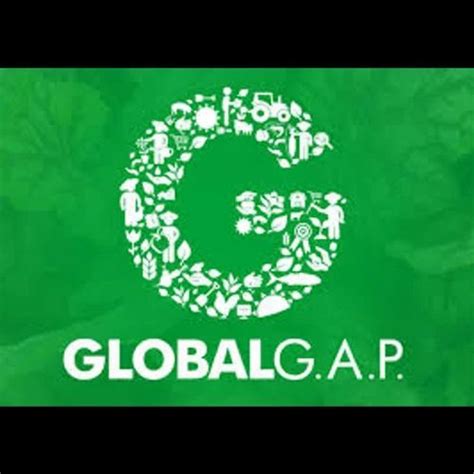 Global Gap Certification Consultants At Rs 20000certificate In Kolkata