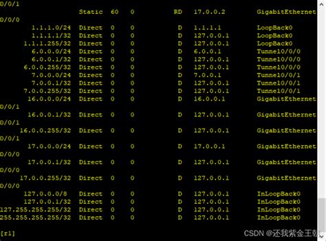 ospf接口网络实验 接口下配置引入ospf csdn博客