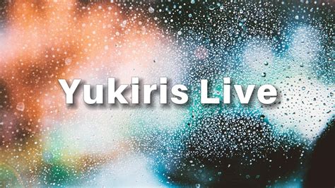 Playlist 창가에 앉아 듣는 잔잔한 빗소리 음악 Youtube