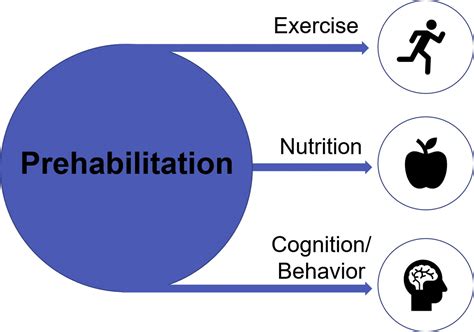 Multimodal Prehabilitation Programs For Older Surgical Patients Anesthesiology Clinics