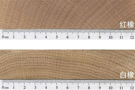 关于红橡，白橡， 知乎