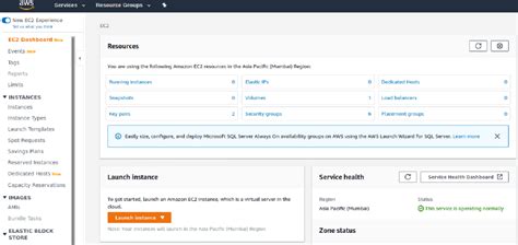 Set Up Penetration Testing Server On Aws · Bhumishs Blog 🎉