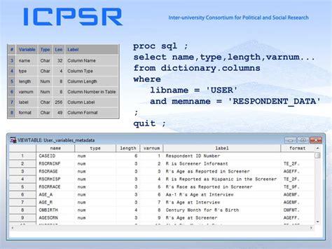 Ppt Using Sas To Generate Ddi Codebook Xml From Information Managed