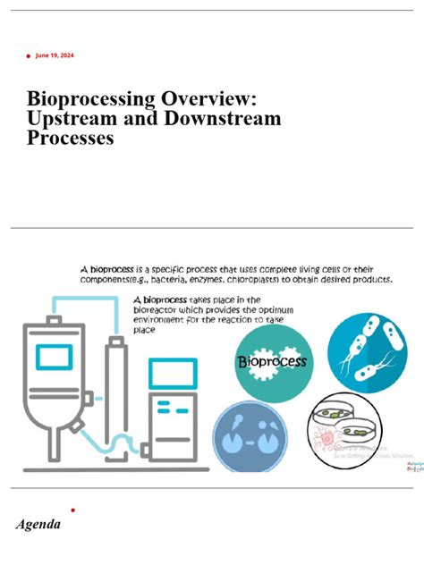 Bioprocessing Overview Upstream And Downstream Processes Pdf Protein Purification Enzyme