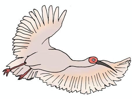 絶滅危惧種イラスト無料イラストフリー素材ならイラストAC