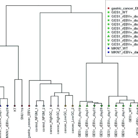hierarchical cluster analysis based on cpg methylation values