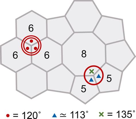 Schematic Illustrating The Geometric Origin Of The Positive Correlation Download Scientific
