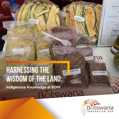 Botswana Digital And Innovation Hub On Linkedin Bdih