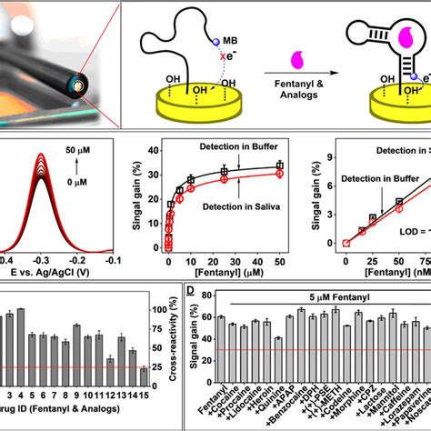 Analytical Performance Of E Ab Sensors For Detecting Fentanyl Or Its Download Scientific