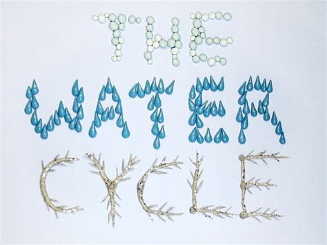 Science Diagram Quizlet
