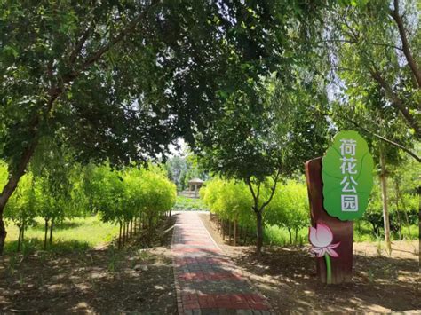 法治文化进乡村 普法宣讲润民心 燕赵摭英 党史博采杂志社官方网站