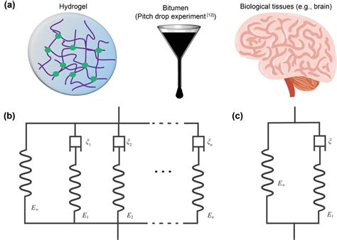 论文审查 A Physics Informed Neural Network Framework For Simulating Creep