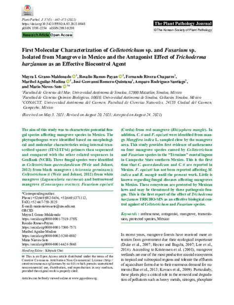 Pdf First Molecular Characterization Of Colletotrichum Sp And Fusarium Sp Isolated From