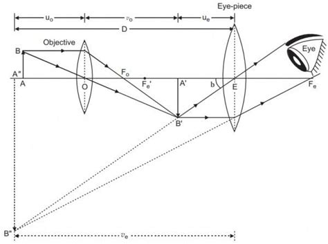 Microscope Ray Diagram