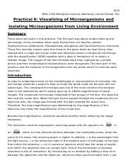 Practical Visualizing Of Microorganisms And Isolating Microorganisms Fr Docx BIOL