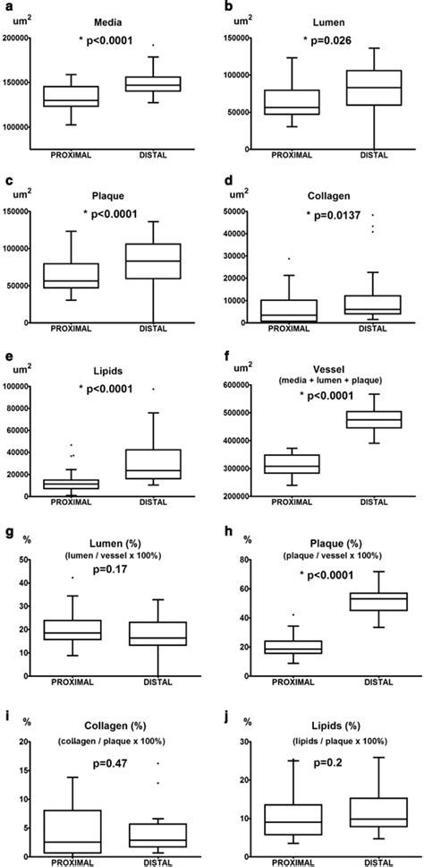 Comparison Of Morphological Parameters Between Proximal And Distal Download Scientific Diagram