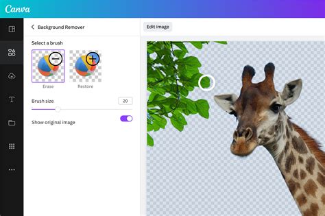 How To Make Transparent Background In Canva Quick Guide