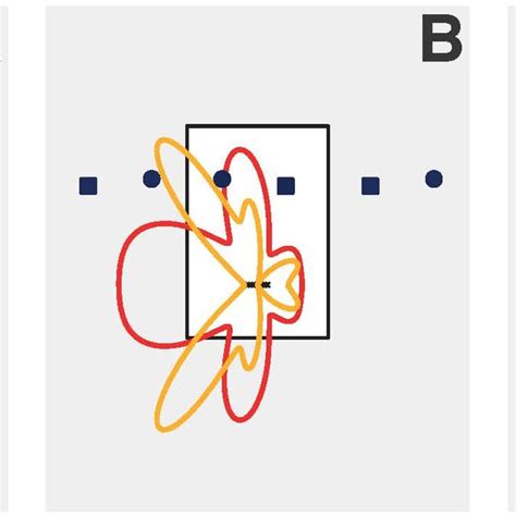 A Schematic Depicting The Canonical Space Time Coordinates Download Scientific Diagram