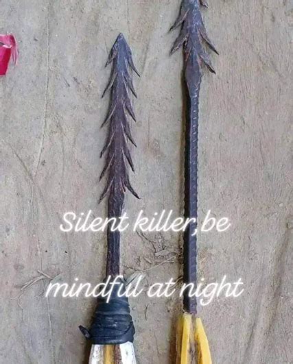 “silencer” Or Wire Catapult Becoming A Big Concern For Png Police Pina