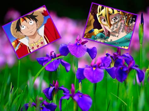 Luffy And Rebecca Wallpaper 13 By Weissdrum On Deviantart