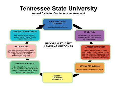 Continuous Improvement Cycle