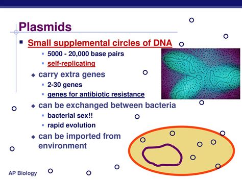 Viruses Bacteria And Prions Ppt Download