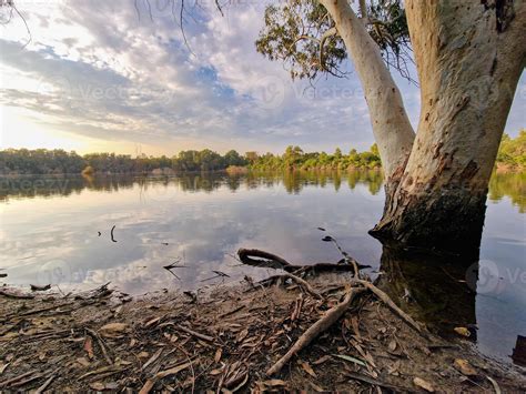 Beautiful Tree Bark And Lake And Surrounding Trees At Athalassa National Park Cyprus 18832727